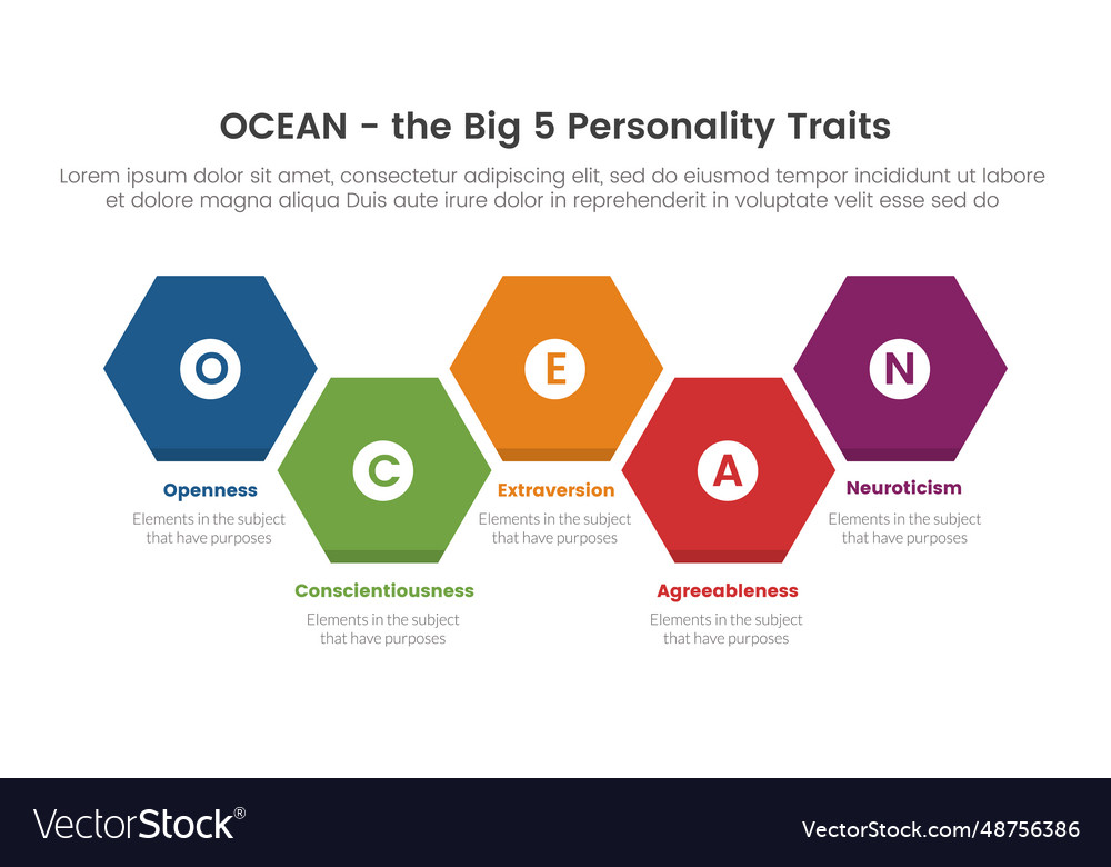 Ocean big five personality traits infographic 5 Vector Image