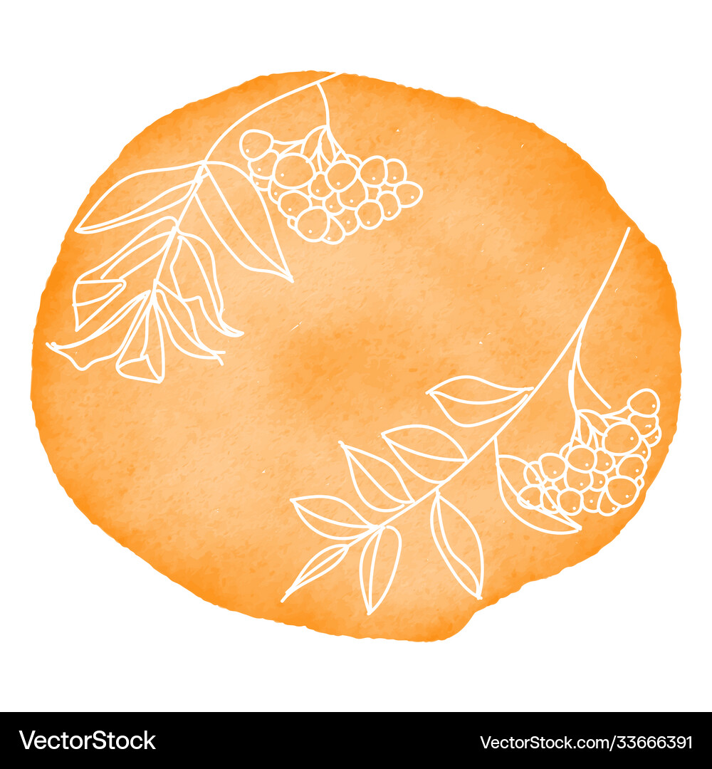 Gift card with branches rowan or viburnum Vector Image