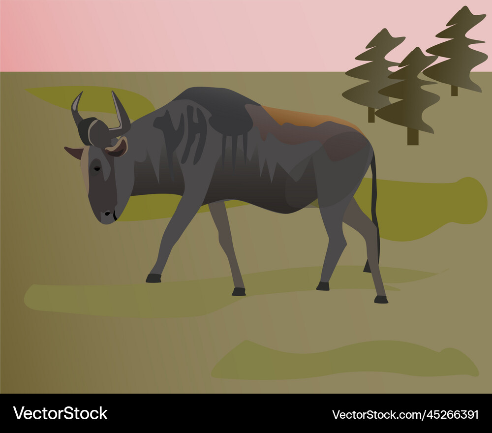 Wildebeest grazing in the field Royalty Free Vector Image