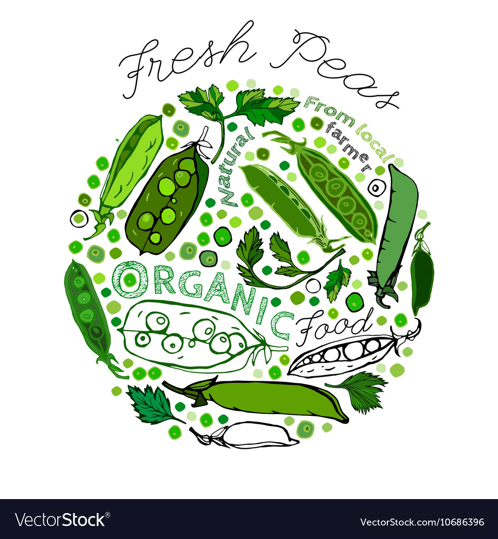 Peas health benefits 01 Royalty Free Vector Image