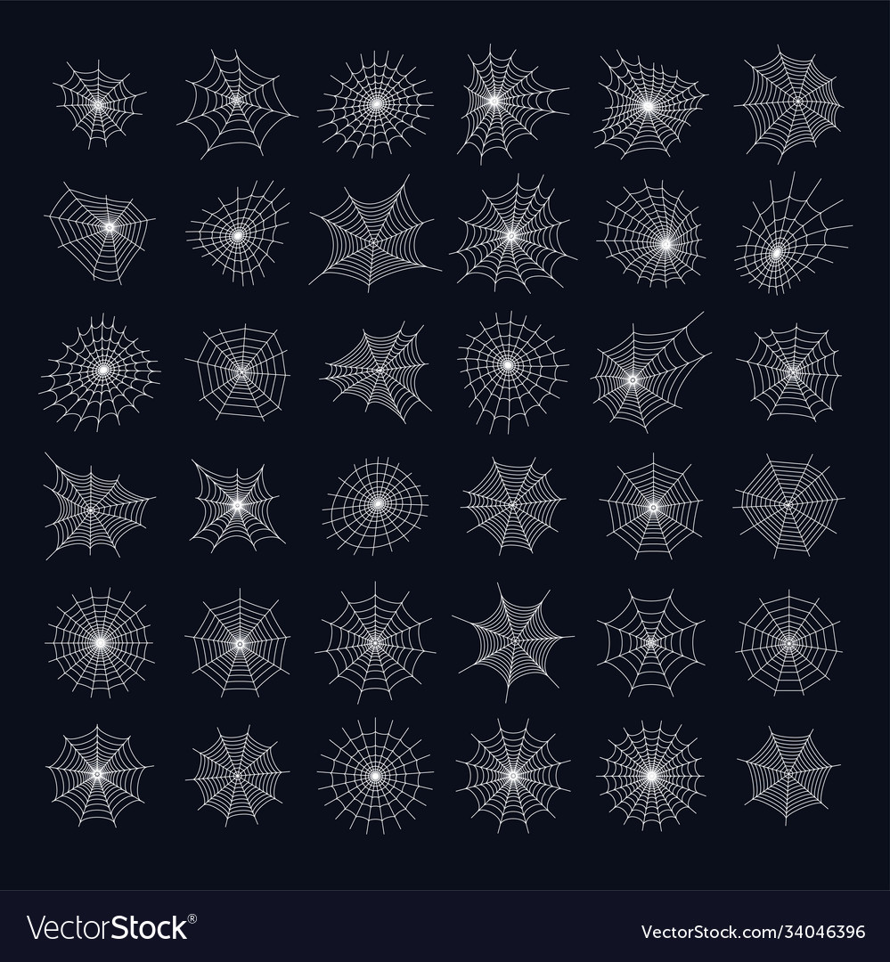 Spider web concept Royalty Free Vector Image - VectorStock