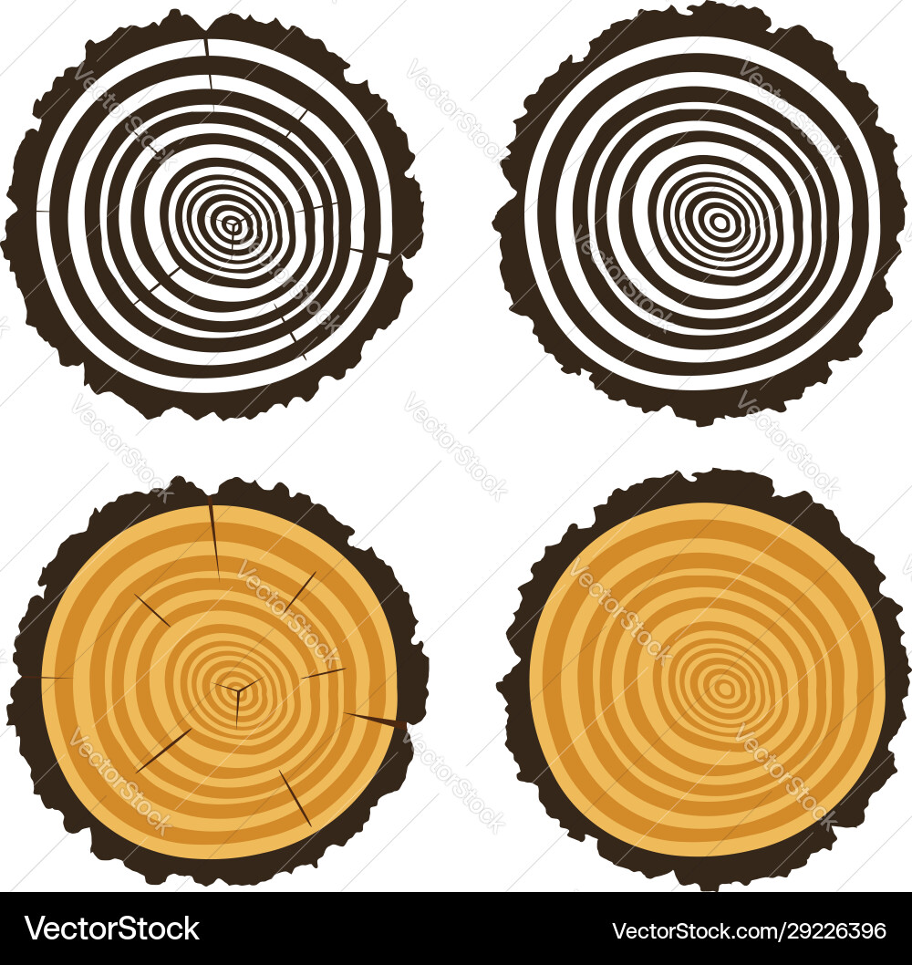 Wooden cut a tree log with concentric rings Vector Image