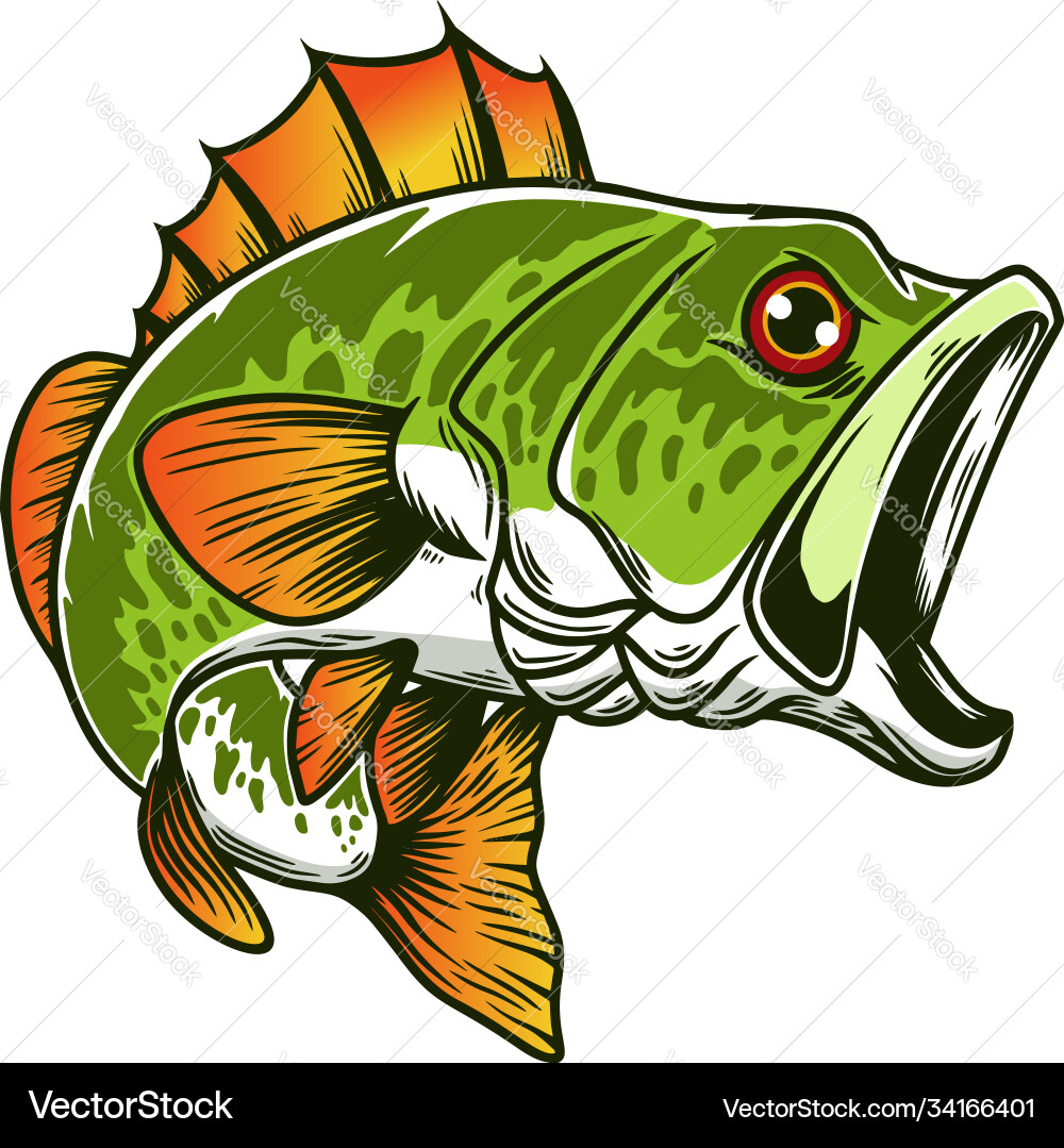 Bass fish big perch perch fishing design element Vector Image