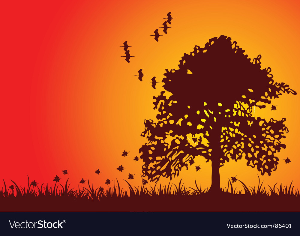 Fall tree Royalty Free Vector Image - VectorStock