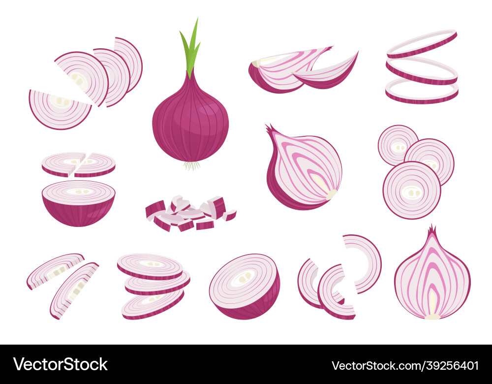 Onions in various cuts set whole and slices Vector Image