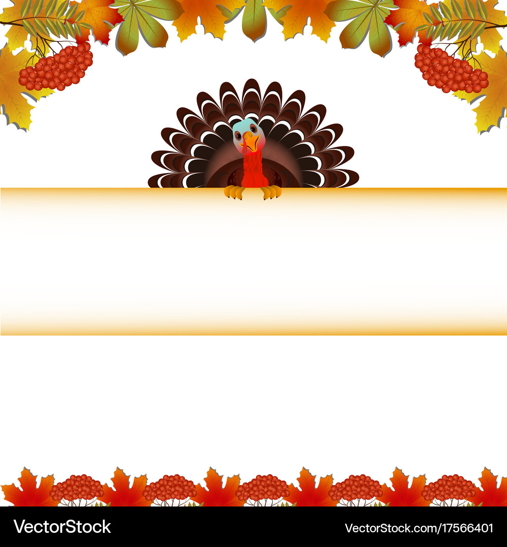 Turkey bird for happy thanksgiving celebration Vector Image
