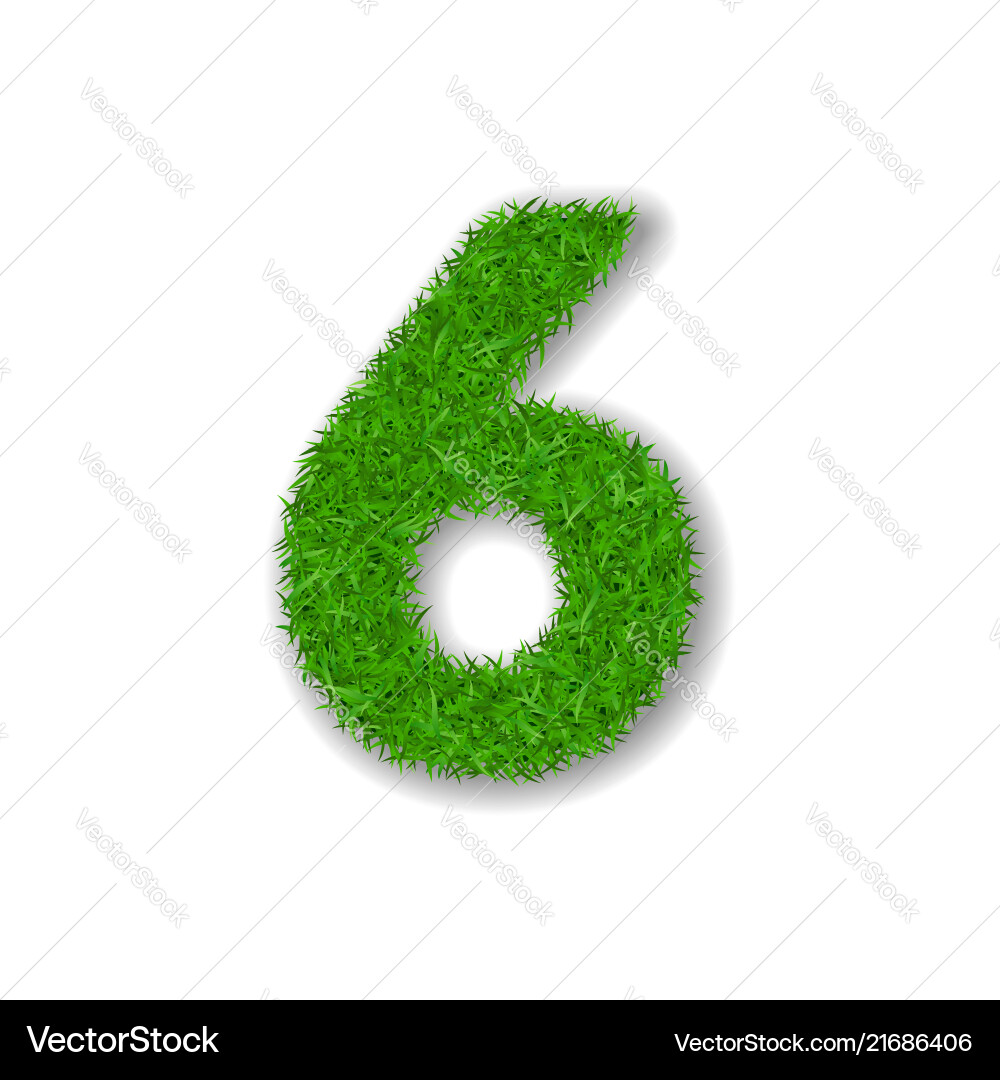 Grass number six green 3d number six isolated Vector Image