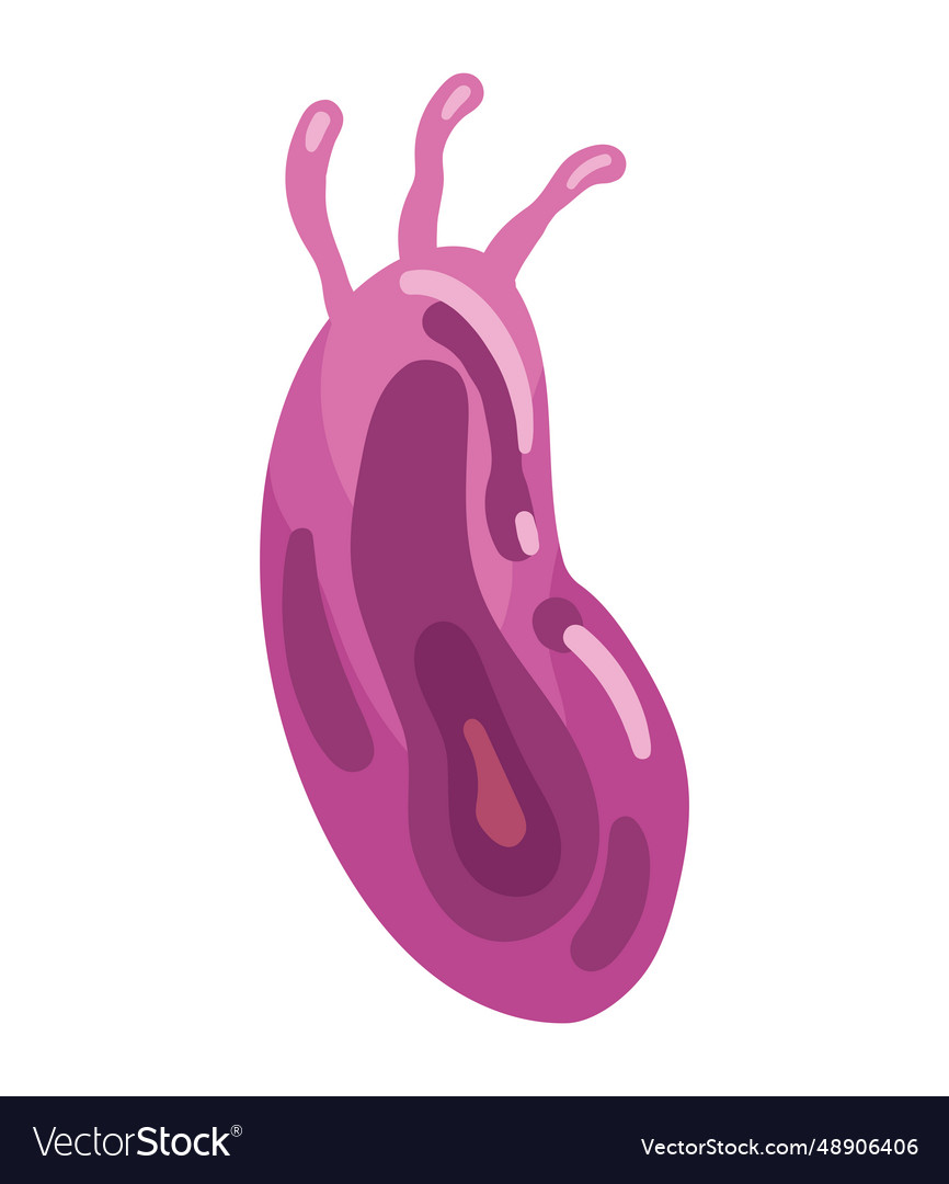 Virus Nipah Infection Royalty Free Vector Image
