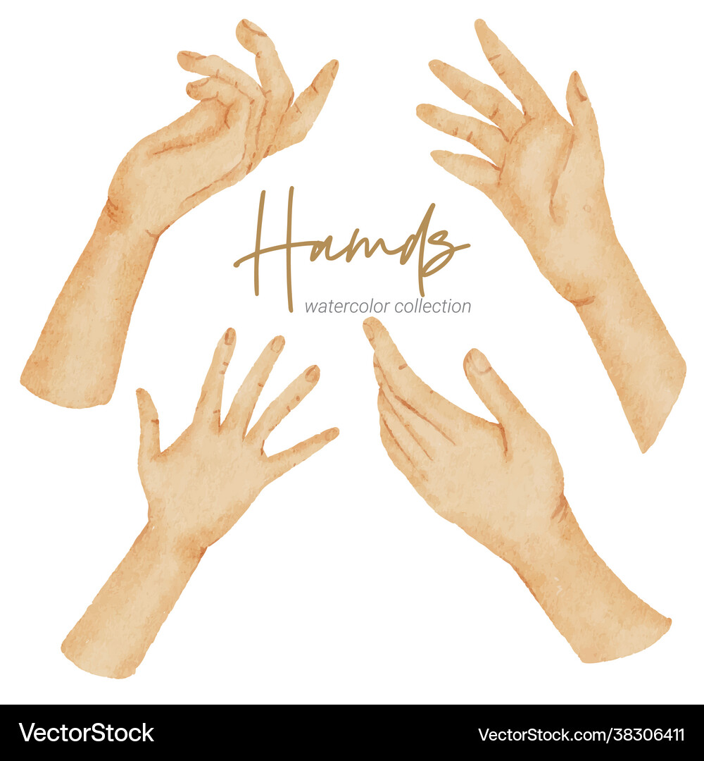 Hands watercolor hand paint collection Royalty Free Vector