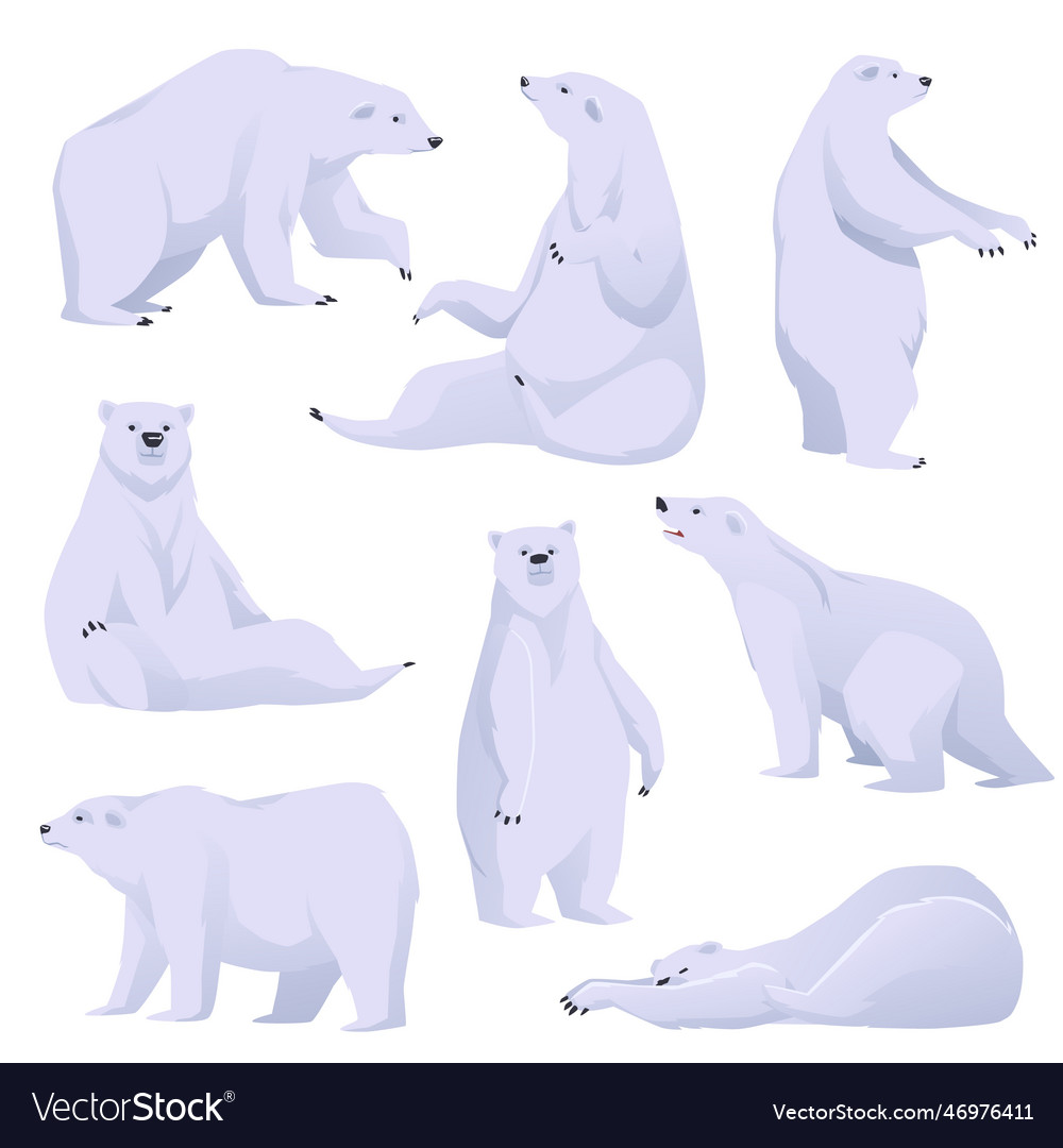 Polar bear in various poses set of animals flat Vector Image