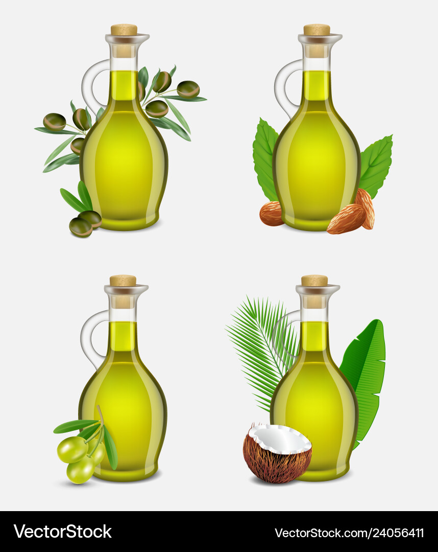 Realistic argan olive coconut and almond Vector Image