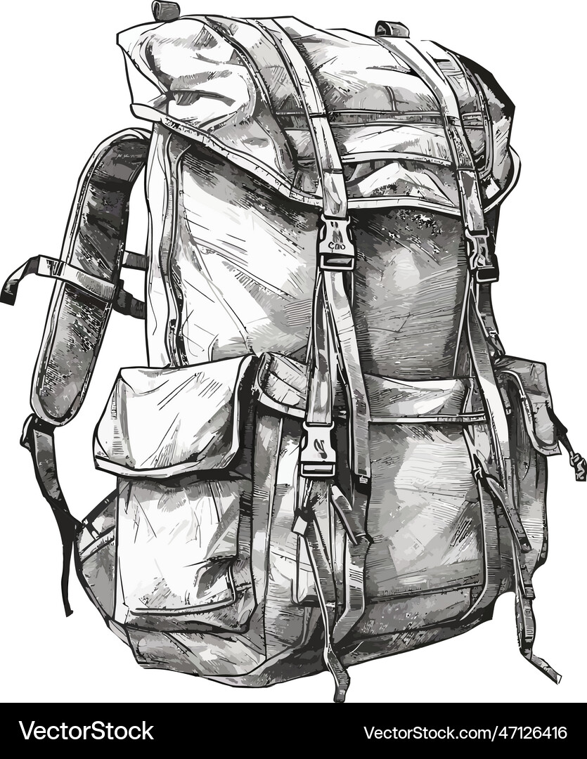 Adventure awaits with backpack and hiking gear Vector Image