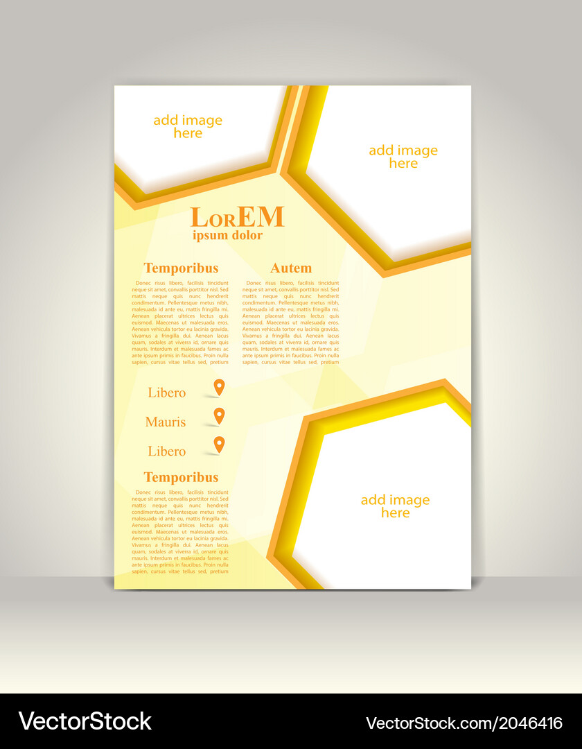Flyer brochure or magazine cover template Vector Image