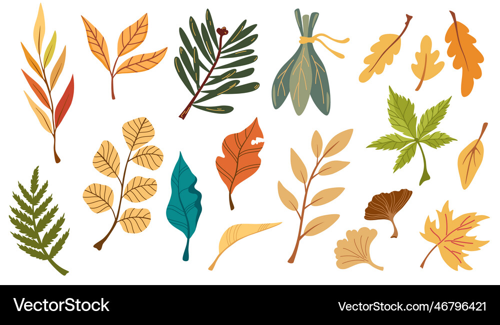 0303 leaves set Royalty Free Vector Image - VectorStock