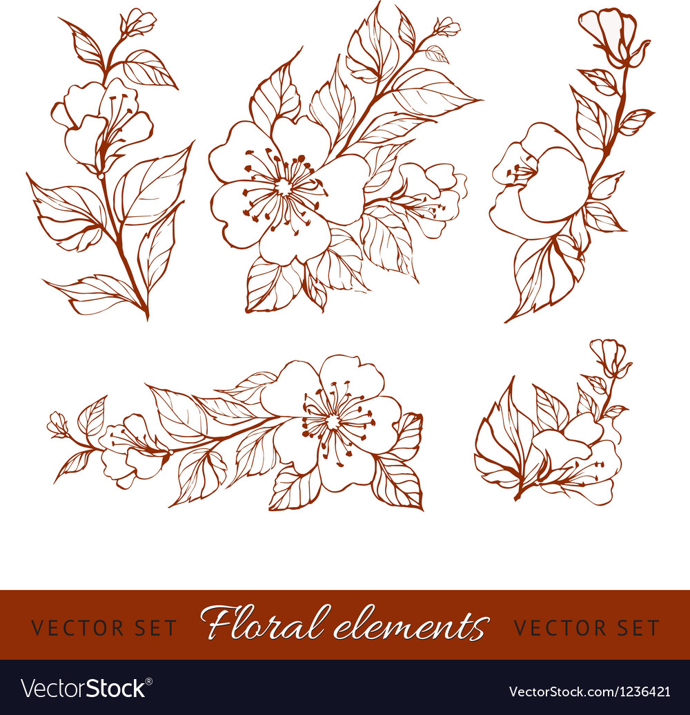 Abstract flower set Royalty Free Vector Image - VectorStock