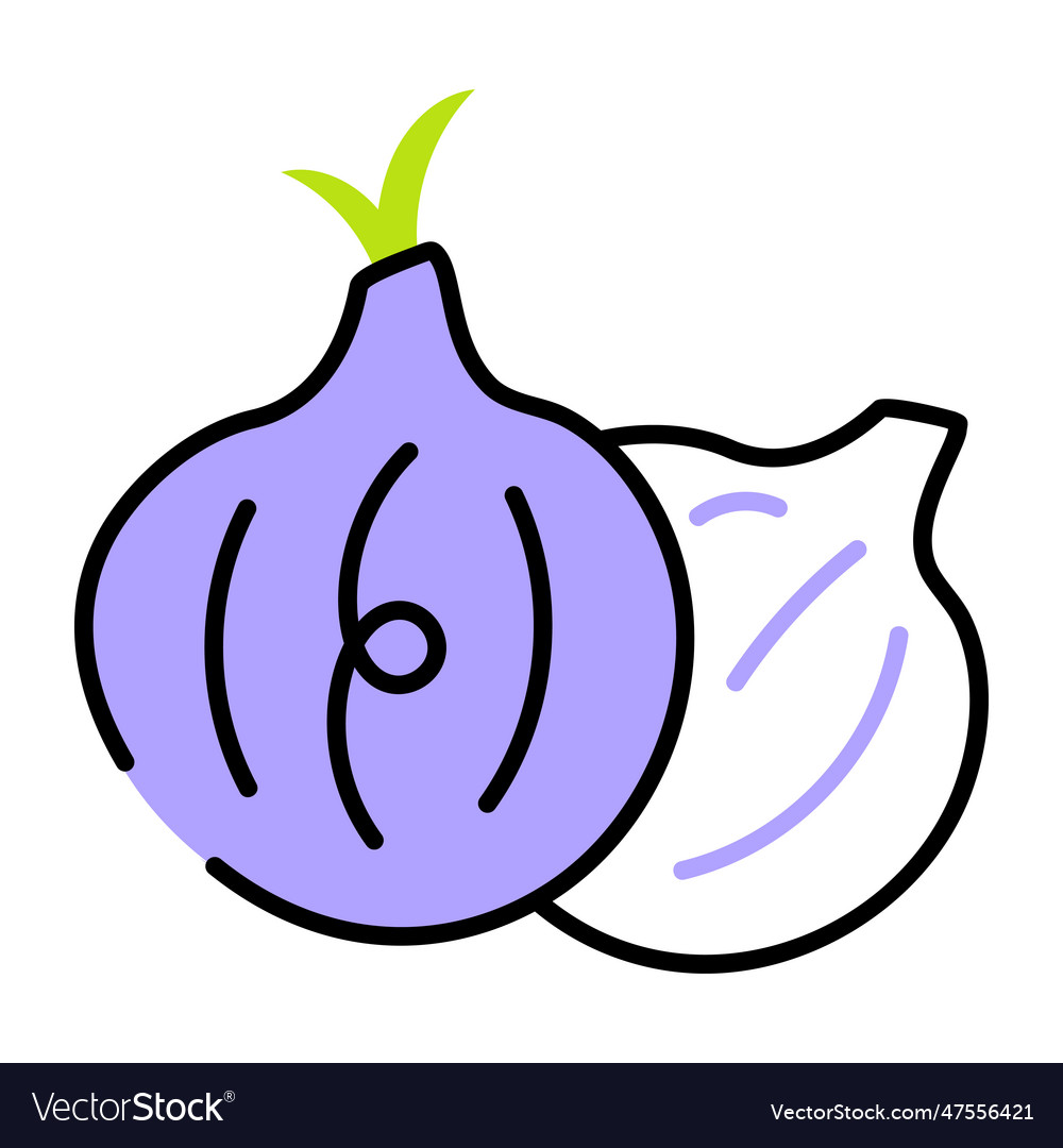Onion Royalty Free Vector Image - VectorStock