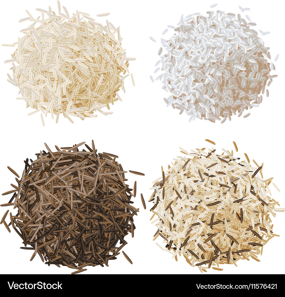 Rice pile set Royalty Free Vector Image - VectorStock