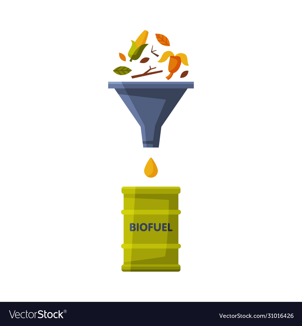 Biomass proceeding at biofuel green energy Vector Image