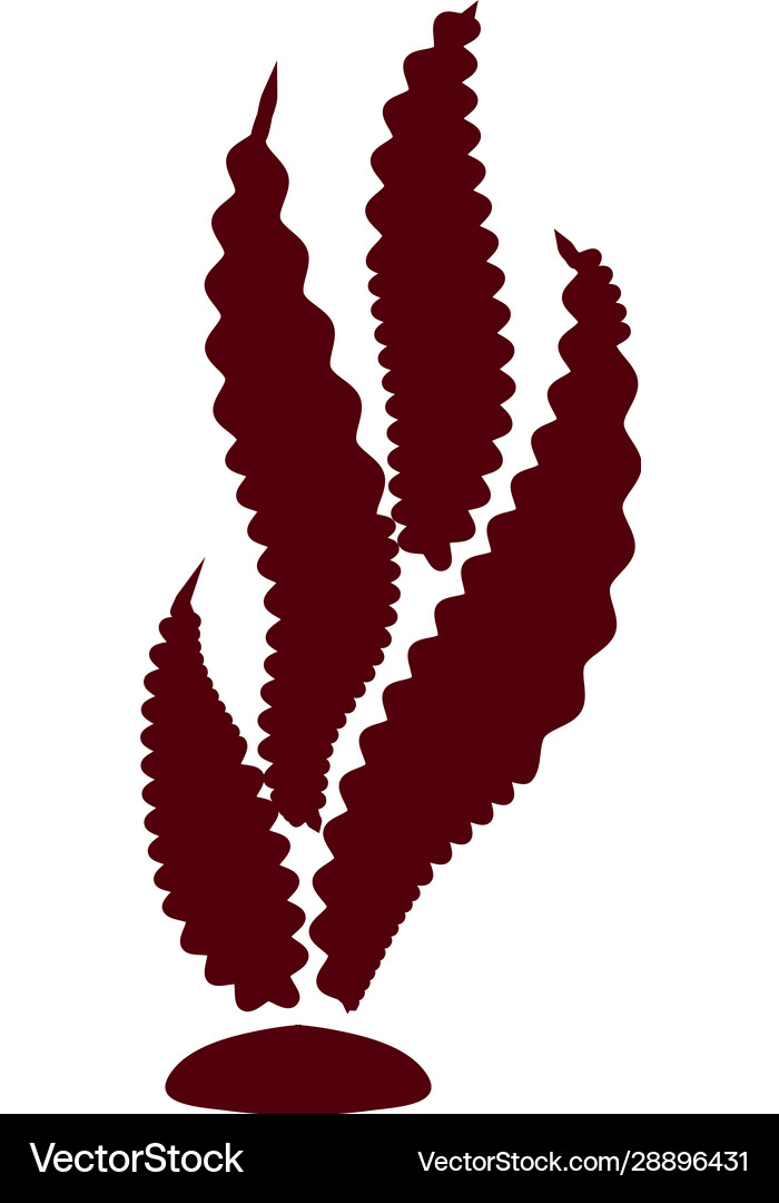 Marine sea weed life icon Royalty Free Vector Image