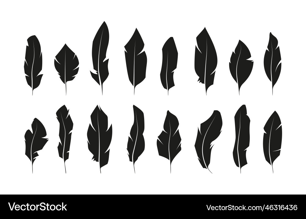 Black feather shape weightless bird plume icons Vector Image