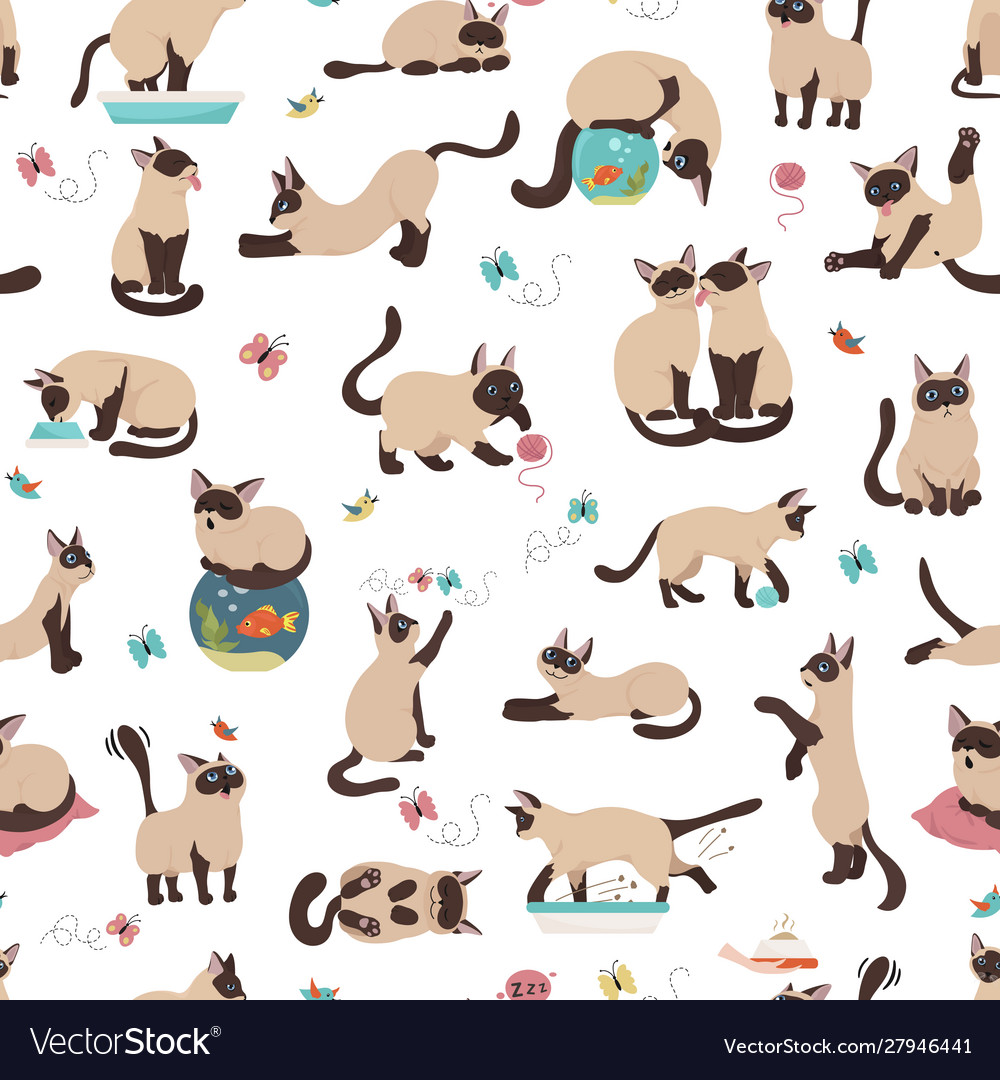 Cartoon Cat Characters Seamless Pattern Different Vector Image