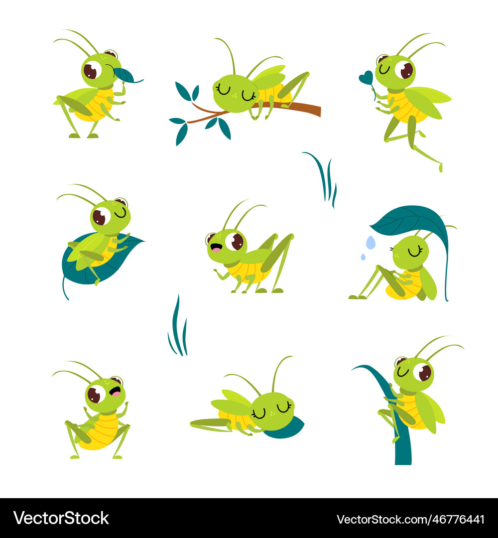 Cute funny green grasshoppers set funny insect Vector Image