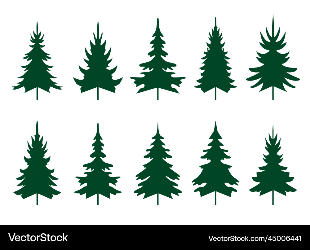 Set green spruce trees winter season design Vector Image