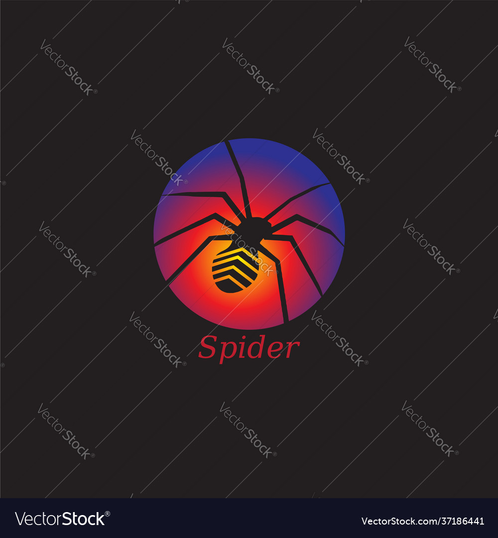 Spider Royalty Free Vector Image - VectorStock