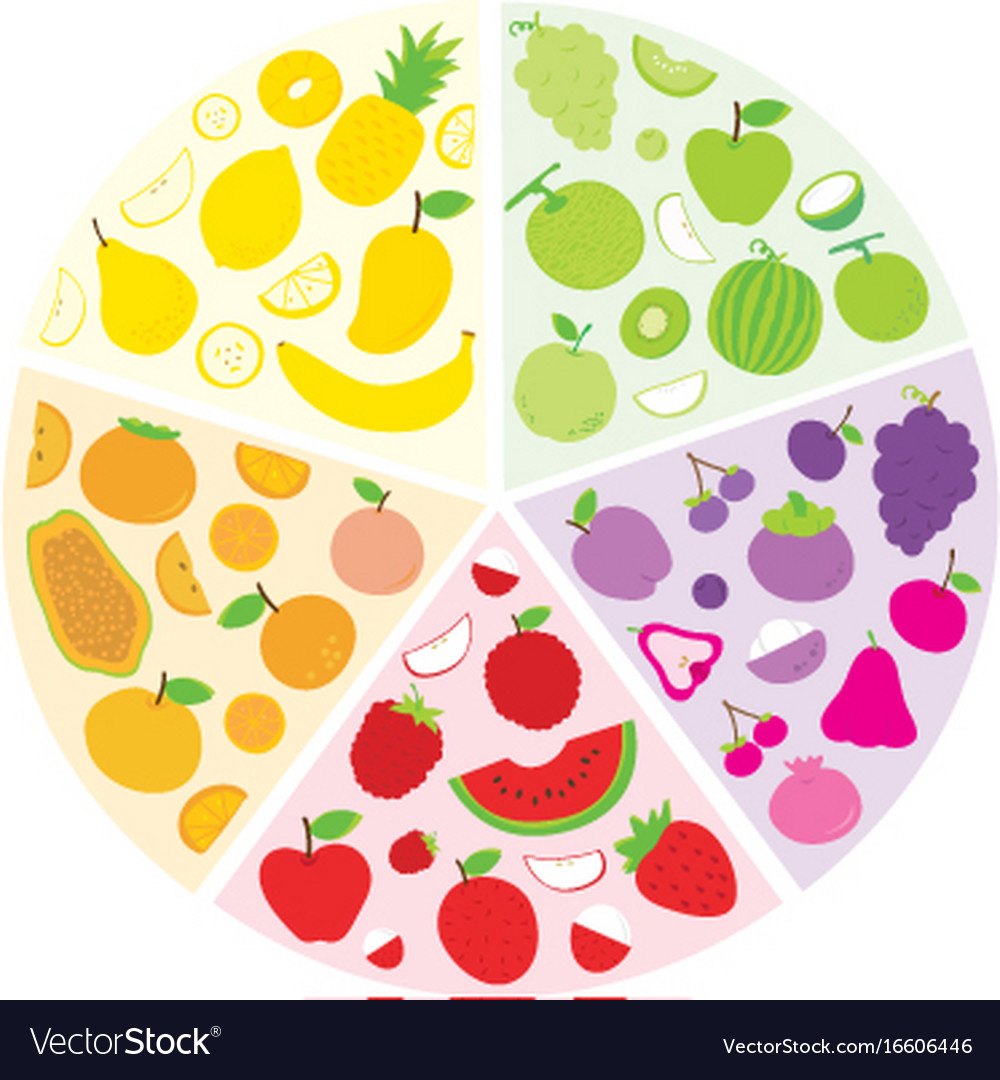 Fruit circle Royalty Free Vector Image - VectorStock