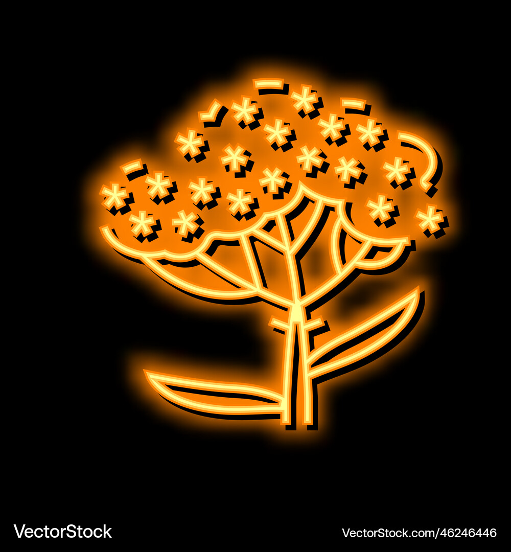 Yarrow plant neon glow icon Royalty Free Vector Image