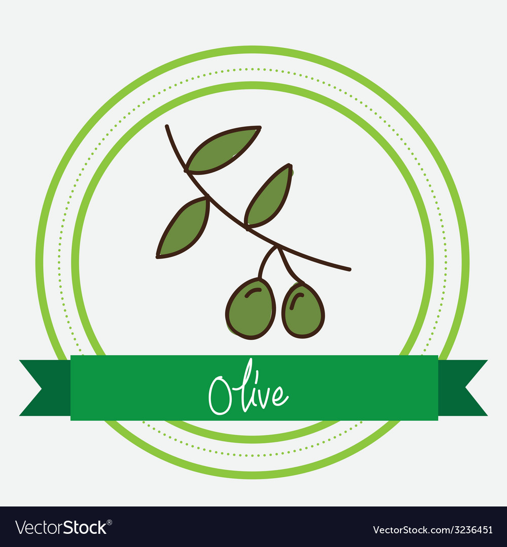 Olive design Royalty Free Vector Image - VectorStock