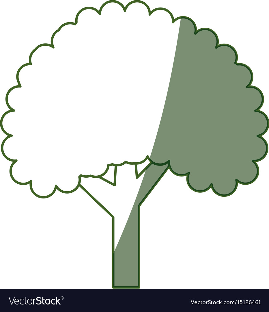 Beautiful tree isolated Royalty Free Vector Image