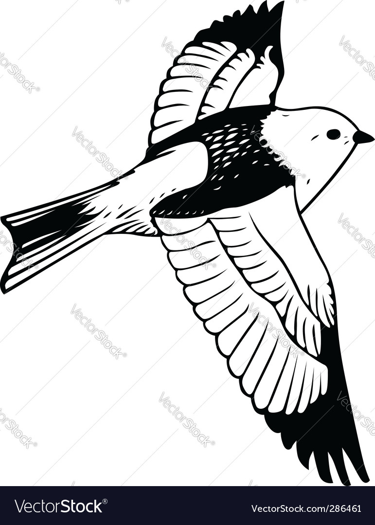 Bird Royalty Free Vector Image - VectorStock