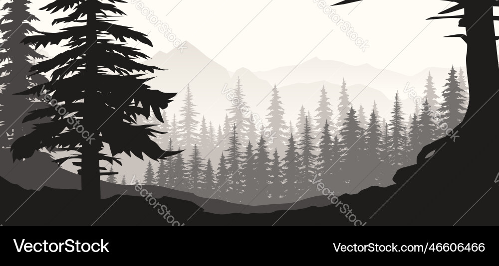 A beautiful forest landscape in grey color Vector Image