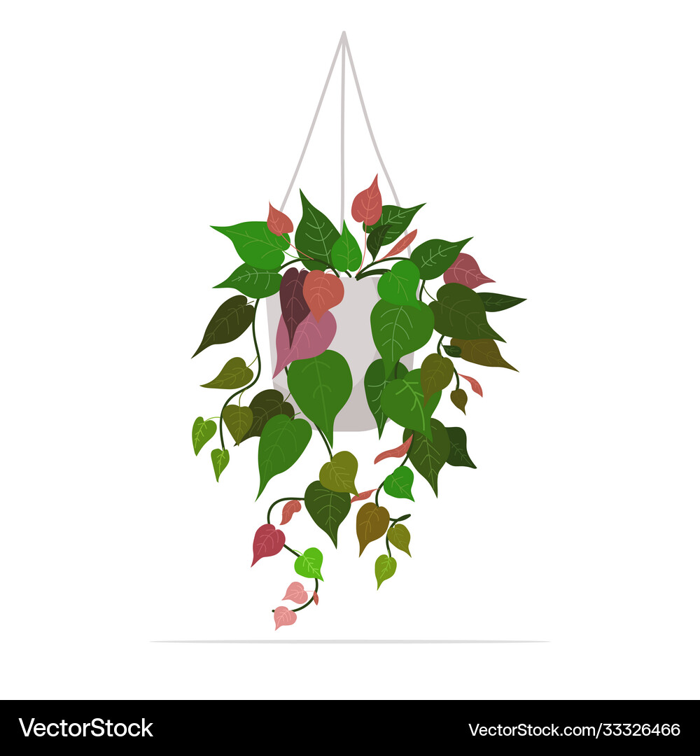 Decorative houseplant planted in ceramic pot Vector Image