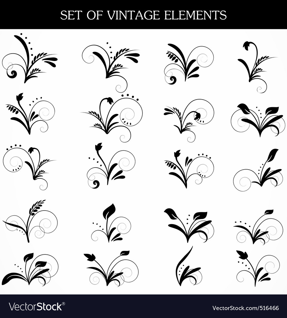 Floral elements Royalty Free Vector Image - VectorStock