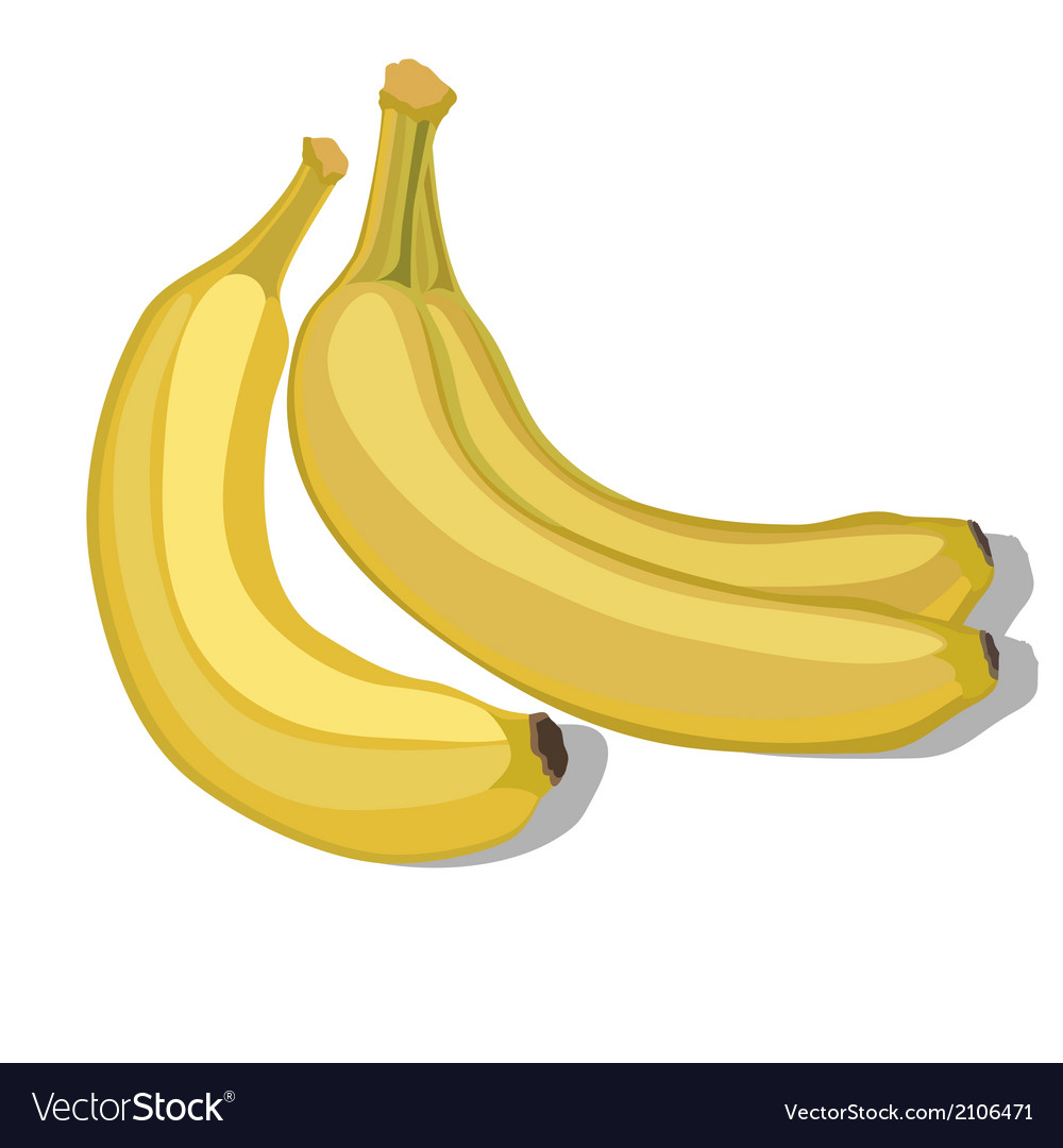 Bananas Royalty Free Vector Image - VectorStock