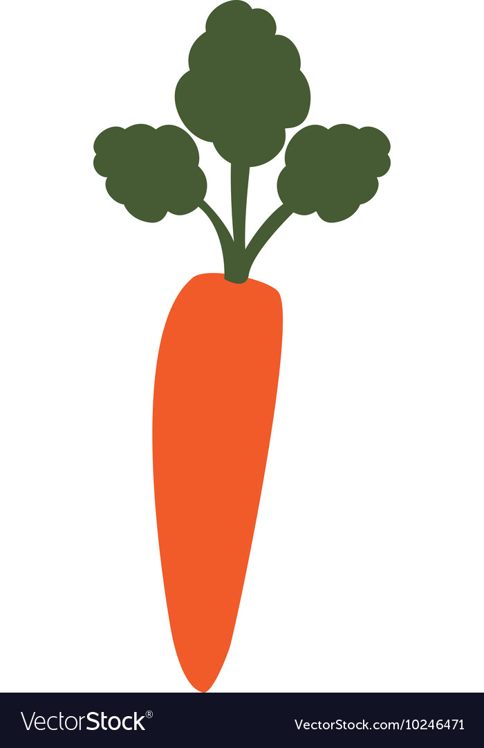 Carrot healthy food organic icon Royalty Free Vector Image