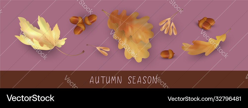 Autumn season banner Royalty Free Vector Image