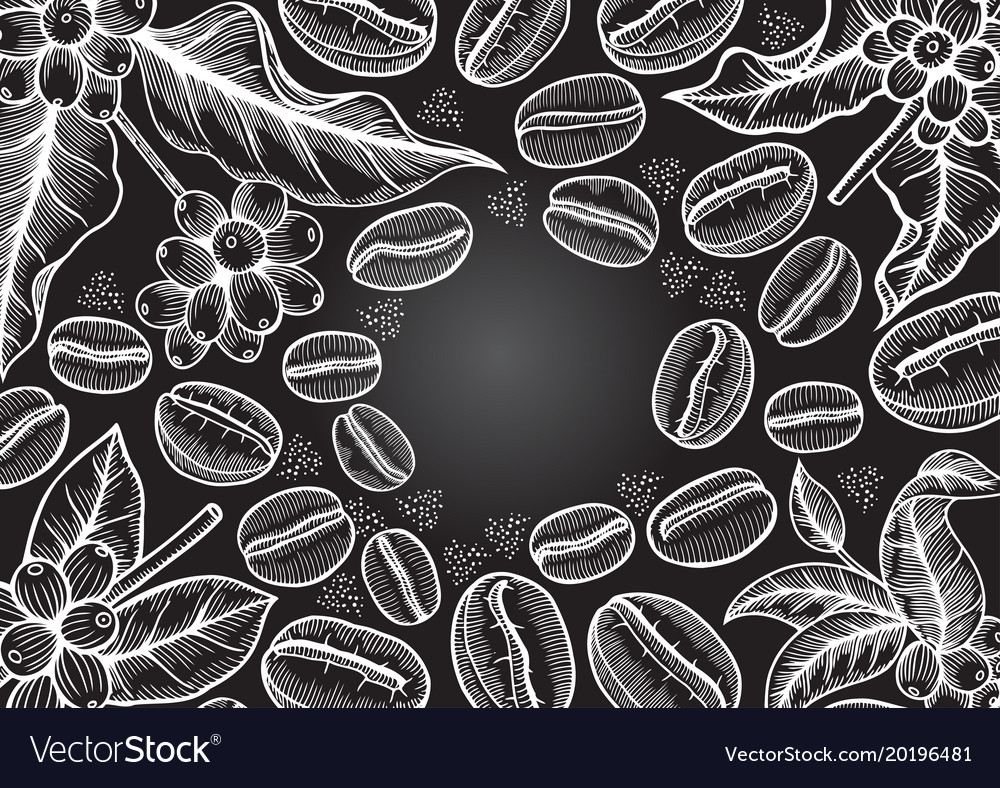 Coffee tree Royalty Free Vector Image - VectorStock