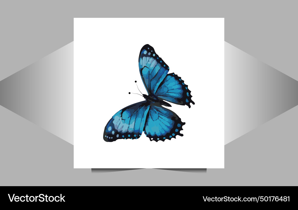 Colorful butterfly design butterfly Royalty Free Vector