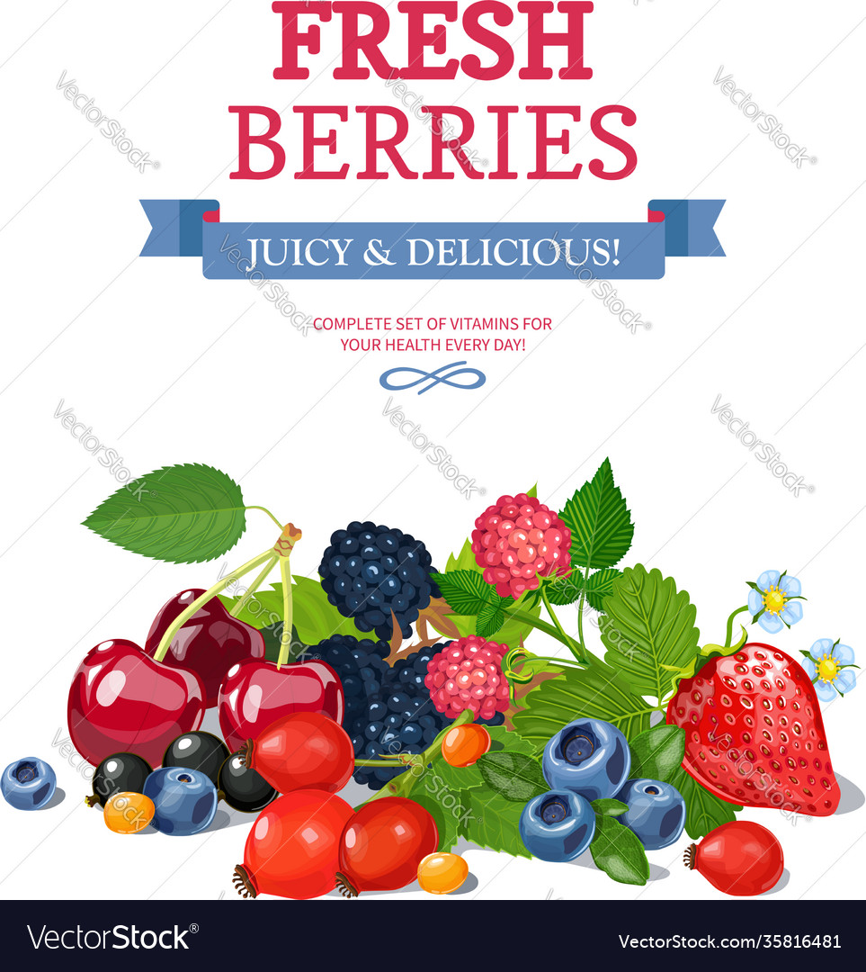 Fresh berries background ad poster Royalty Free Vector Image