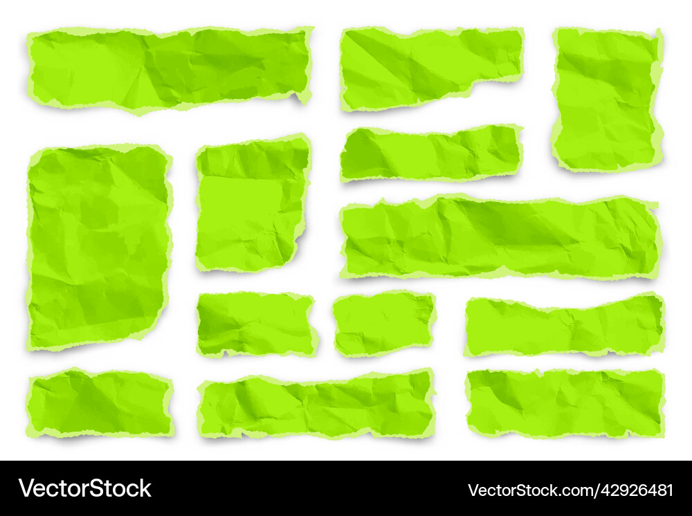 Green ripped paper strips on white background Vector Image