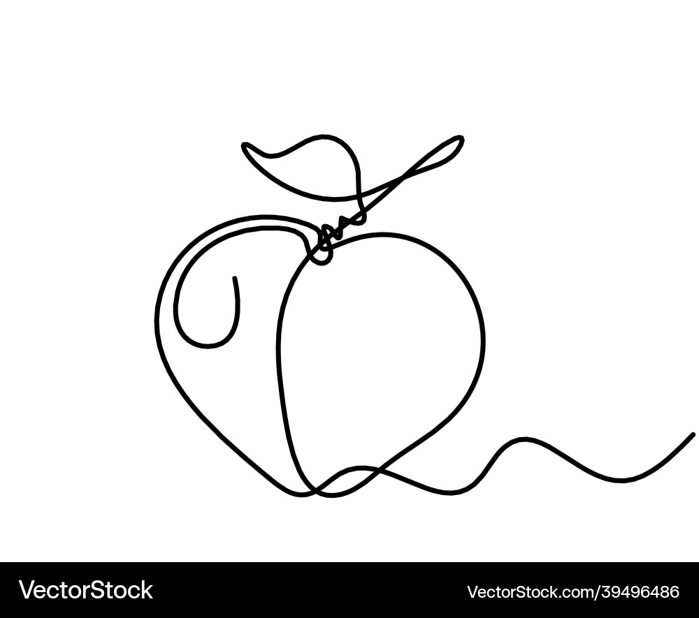 Drawing lidrawing line apricot peach nectarine Vector Image