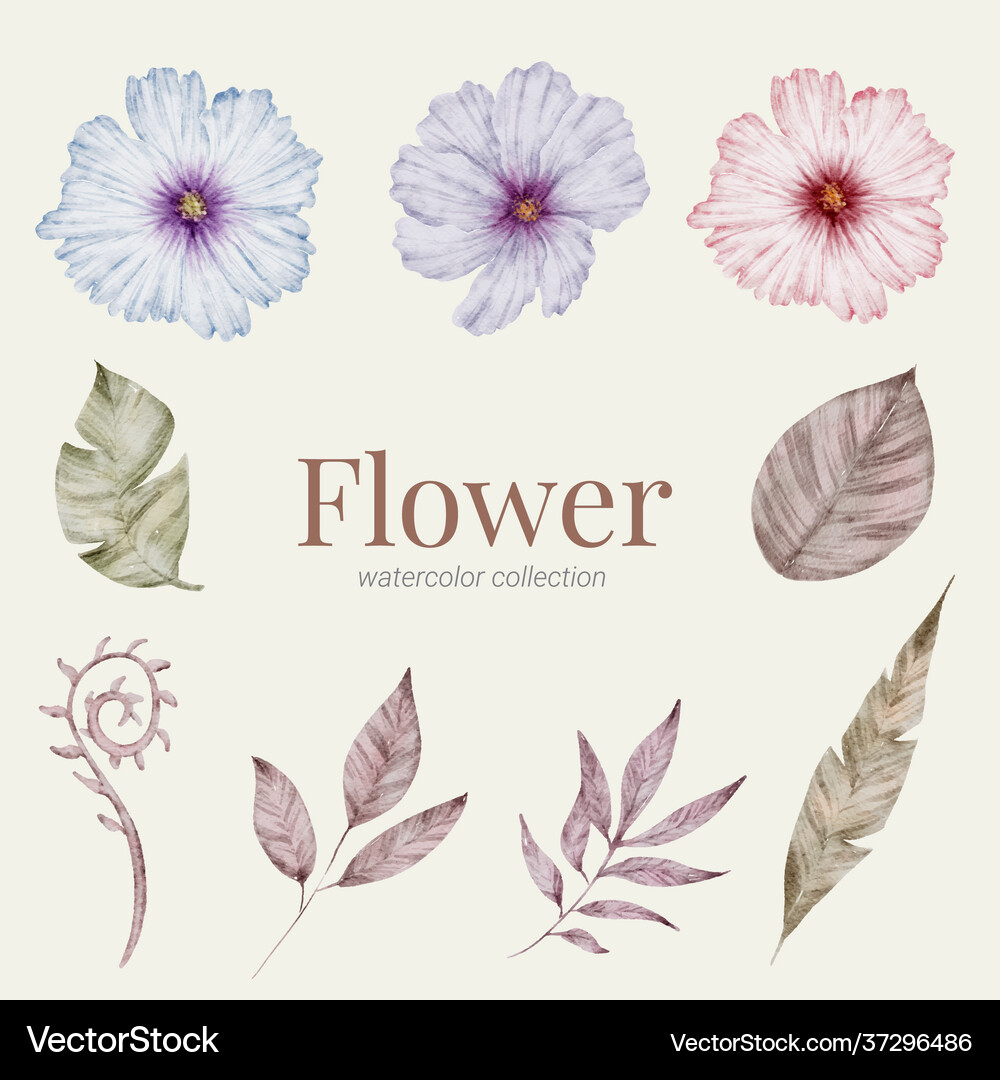 Floral element watercolor collection Royalty Free Vector