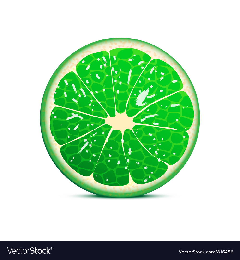 Lime Royalty Free Vector Image - VectorStock