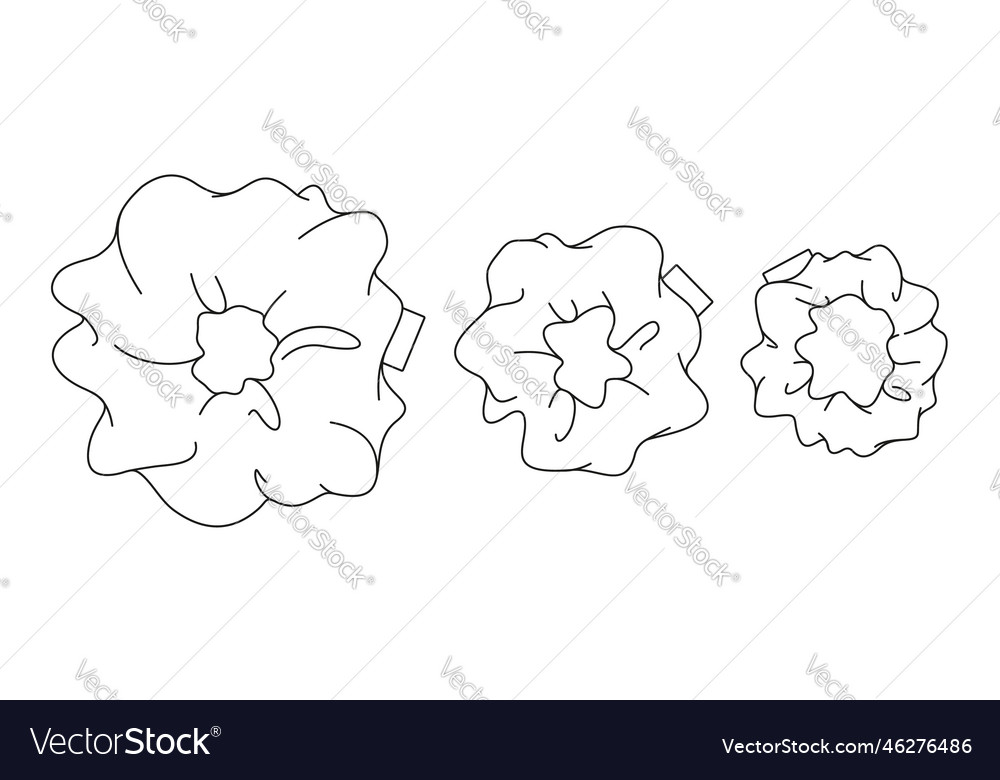 Line scrunchie Royalty Free Vector Image - VectorStock