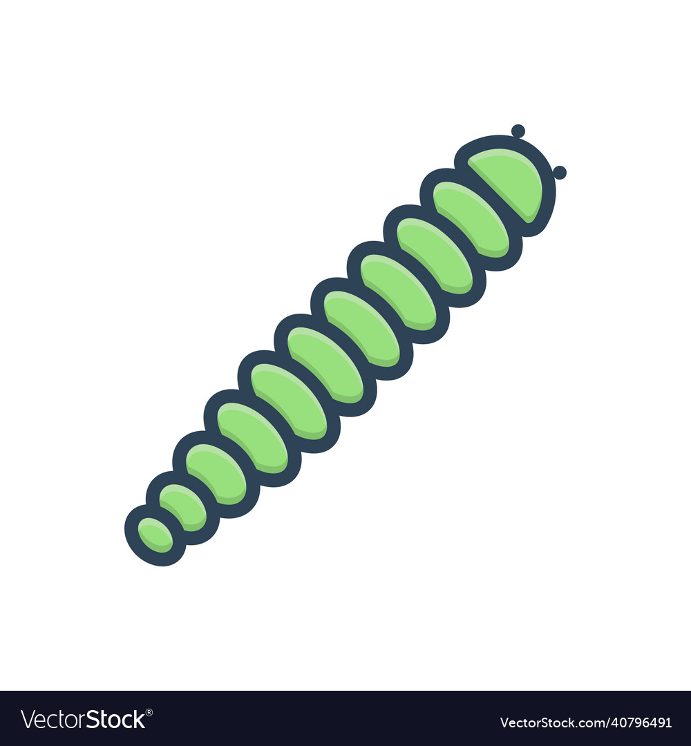 Caterpillar Royalty Free Vector Image - VectorStock
