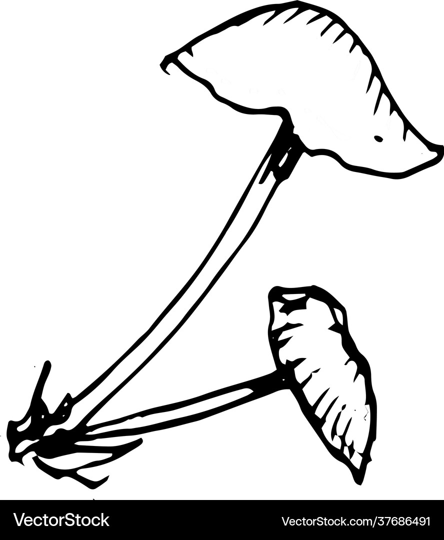 Mushrooms mushroom menu graphic hand Royalty Free Vector