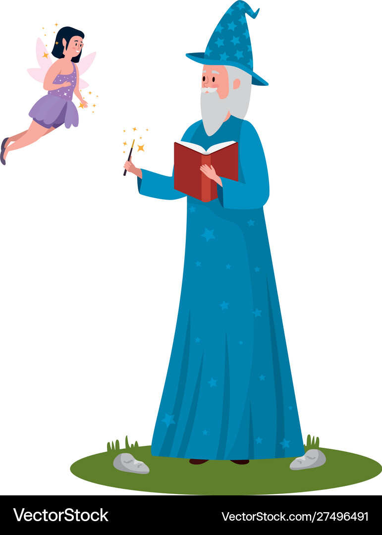 Wizard with fairy flying avatar character Vector Image